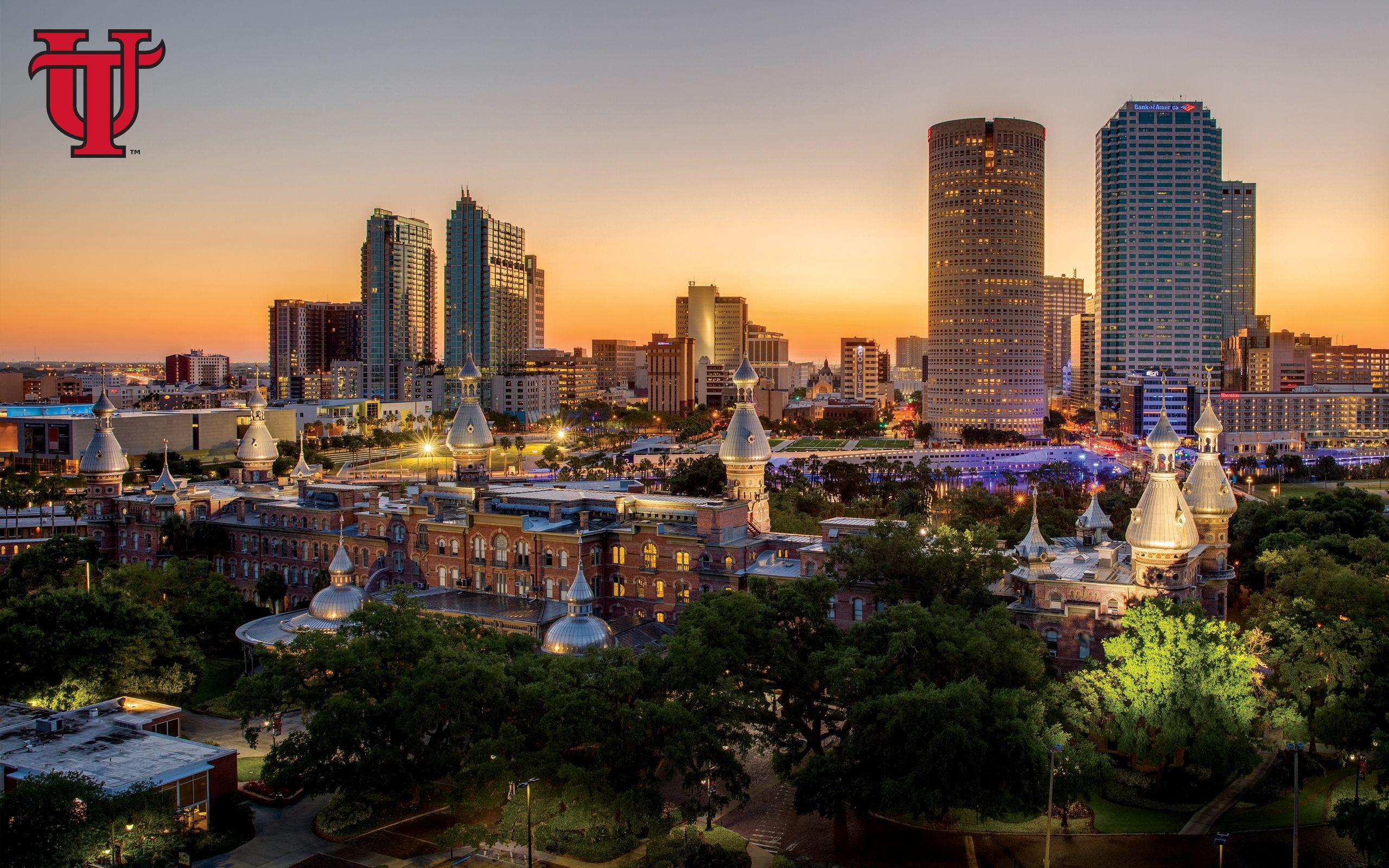 Tampa Skyline Wallpapers - Top Free Tampa Skyline Backgrounds ...