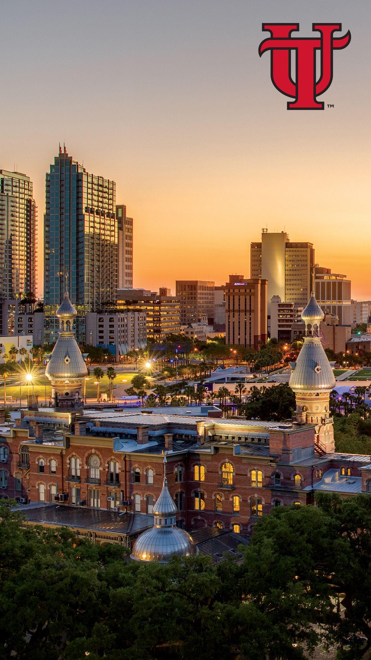 Tampa Florida Wallpapers - Top Free Tampa Florida Backgrounds ...