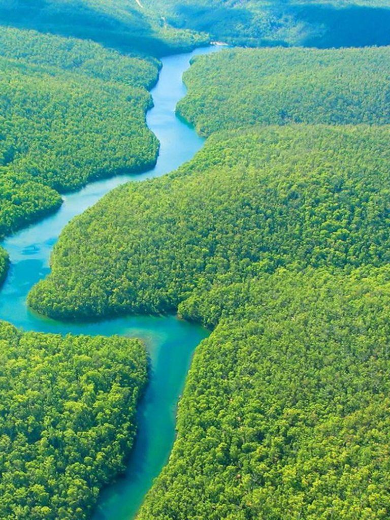 Brazil Jungle Wallpapers - Top Free Brazil Jungle Backgrounds ...