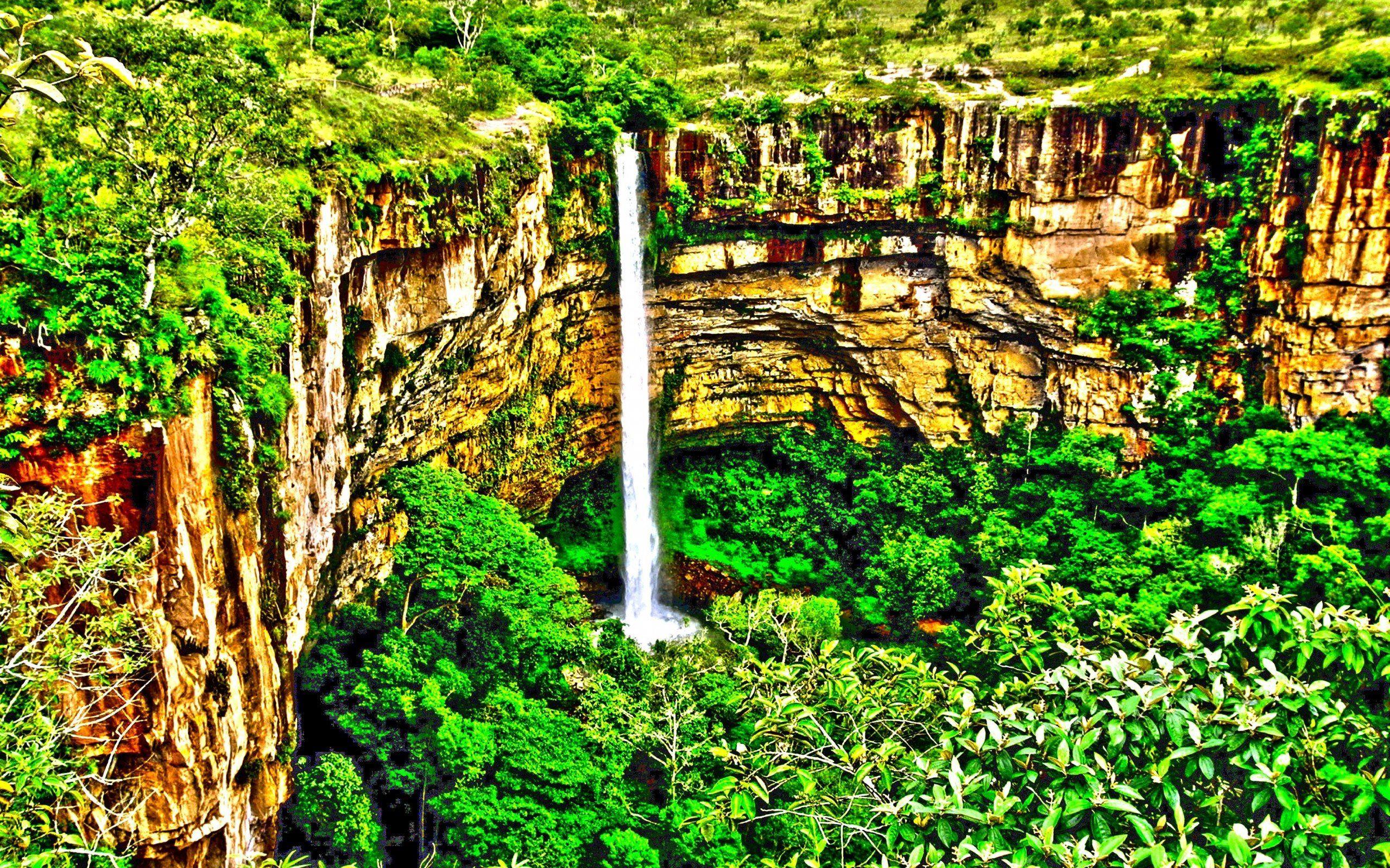 Brazil Jungle Wallpapers - Top Free Brazil Jungle Backgrounds ...