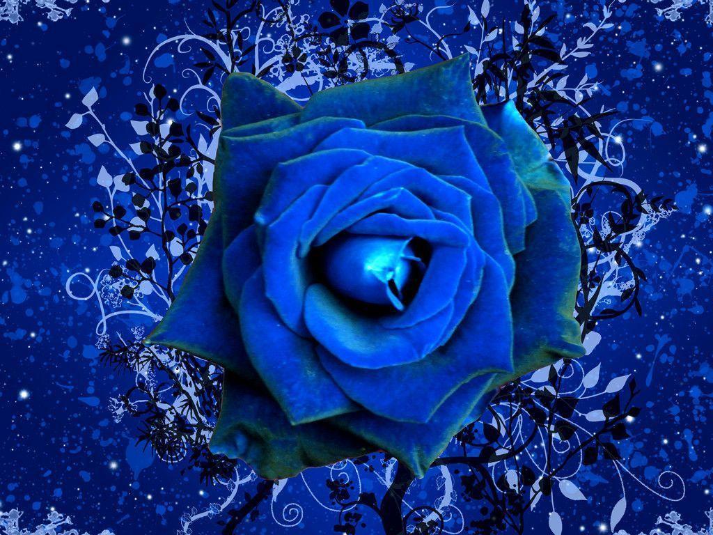Dark Blue Rose Abstract Wallpapers - Top Free Dark Blue Rose Abstract ...