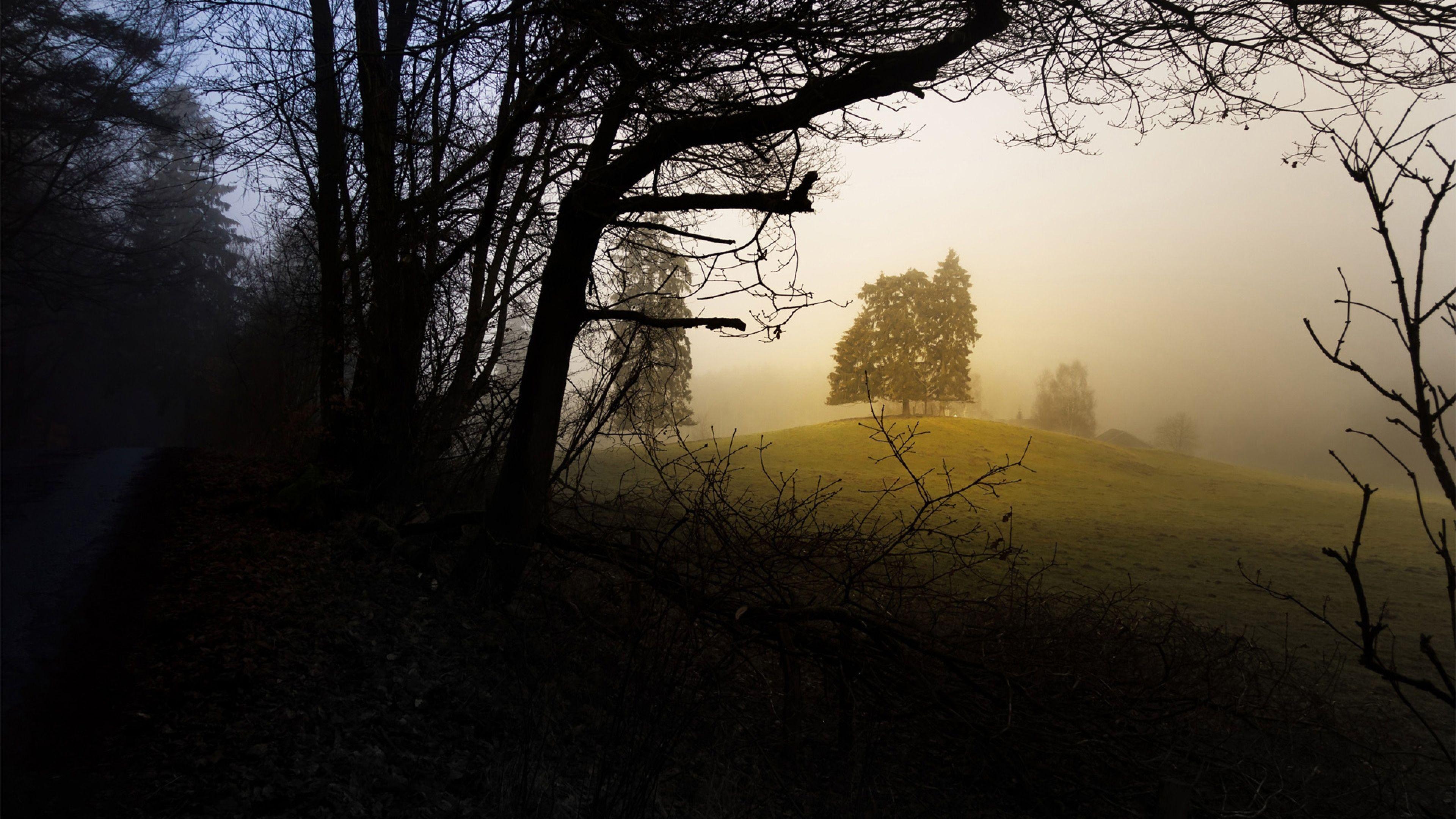 Murder Mystery Wallpapers - Top Free Murder Mystery Backgrounds ...