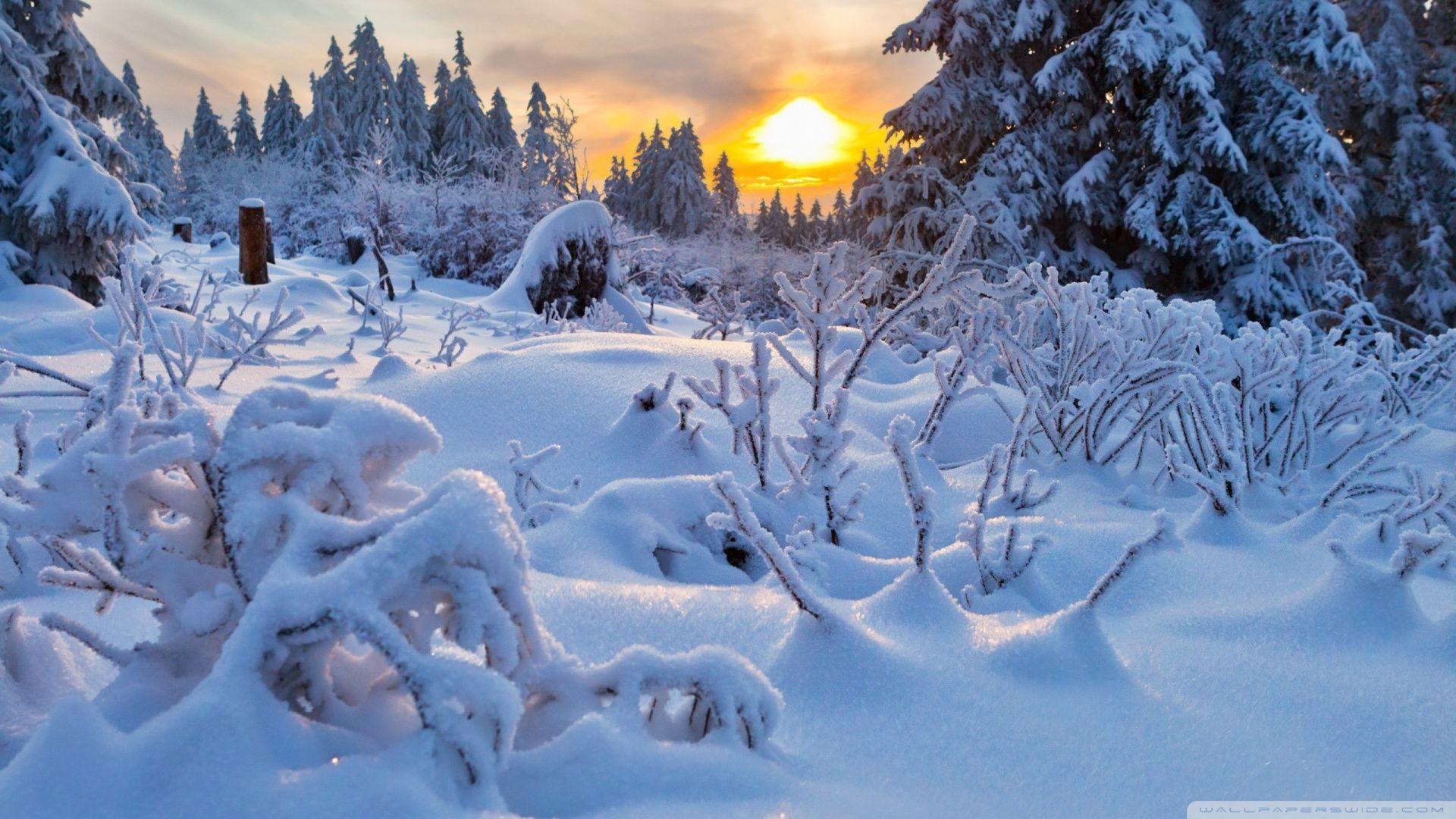 Winter Sun Wallpapers - Top Free Winter Sun Backgrounds - WallpaperAccess
