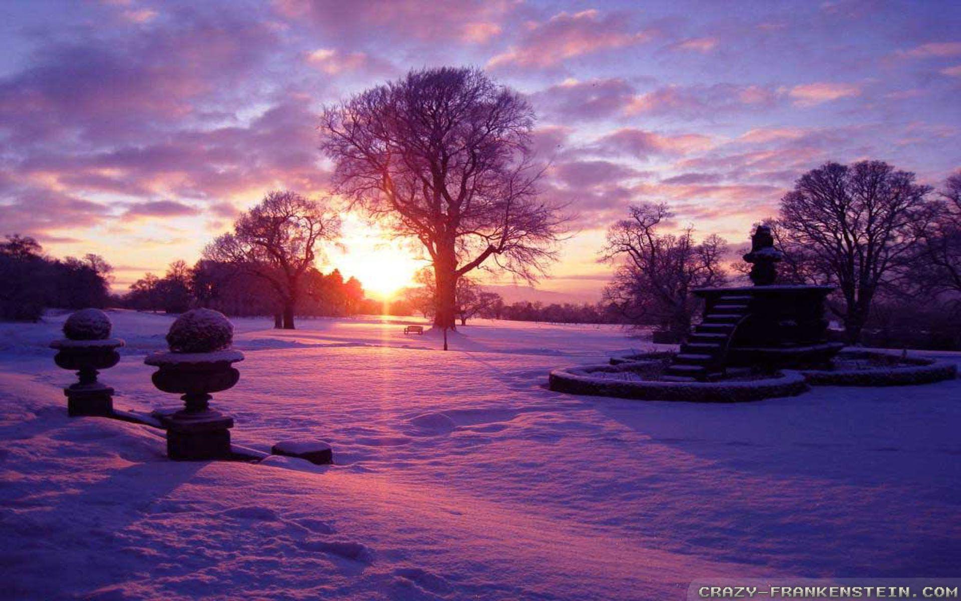 Winter Sun Wallpapers - Top Free Winter Sun Backgrounds - WallpaperAccess