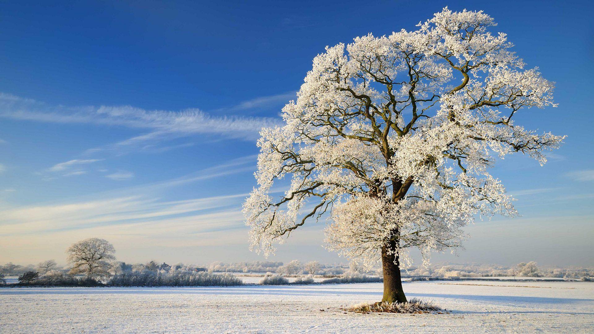 Winter Solstice Wallpapers - Top Free Winter Solstice Backgrounds ...