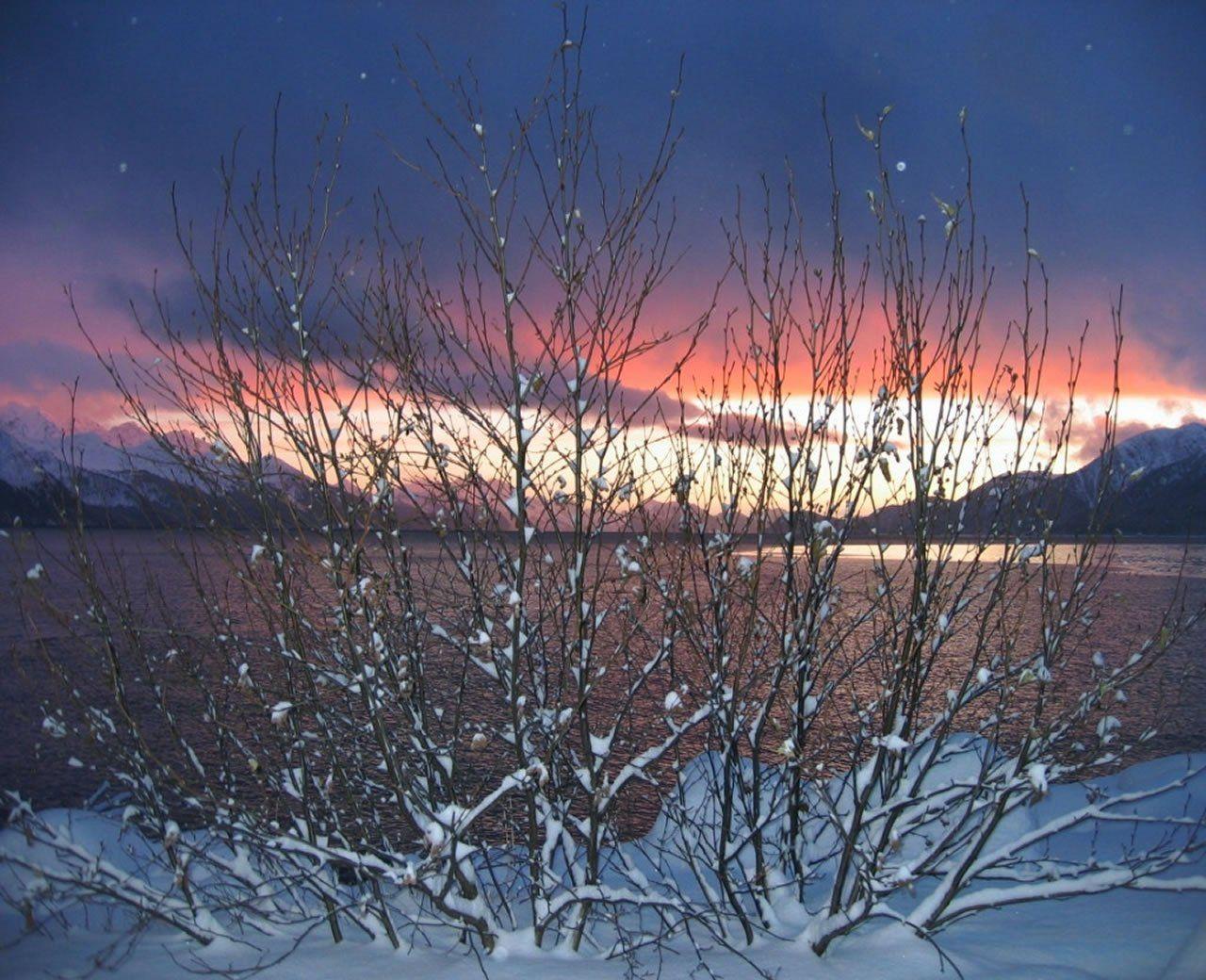 Winter Solstice Wallpapers - Top Free Winter Solstice Backgrounds ...