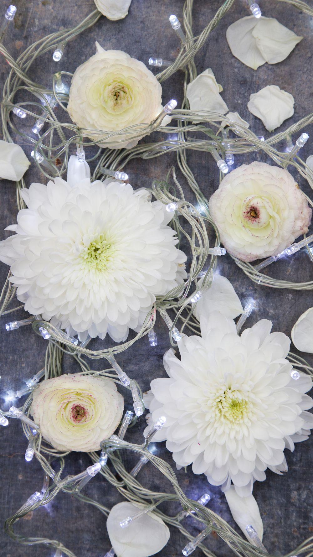 Winter Flowers Wallpapers - Top Free Winter Flowers Backgrounds ...