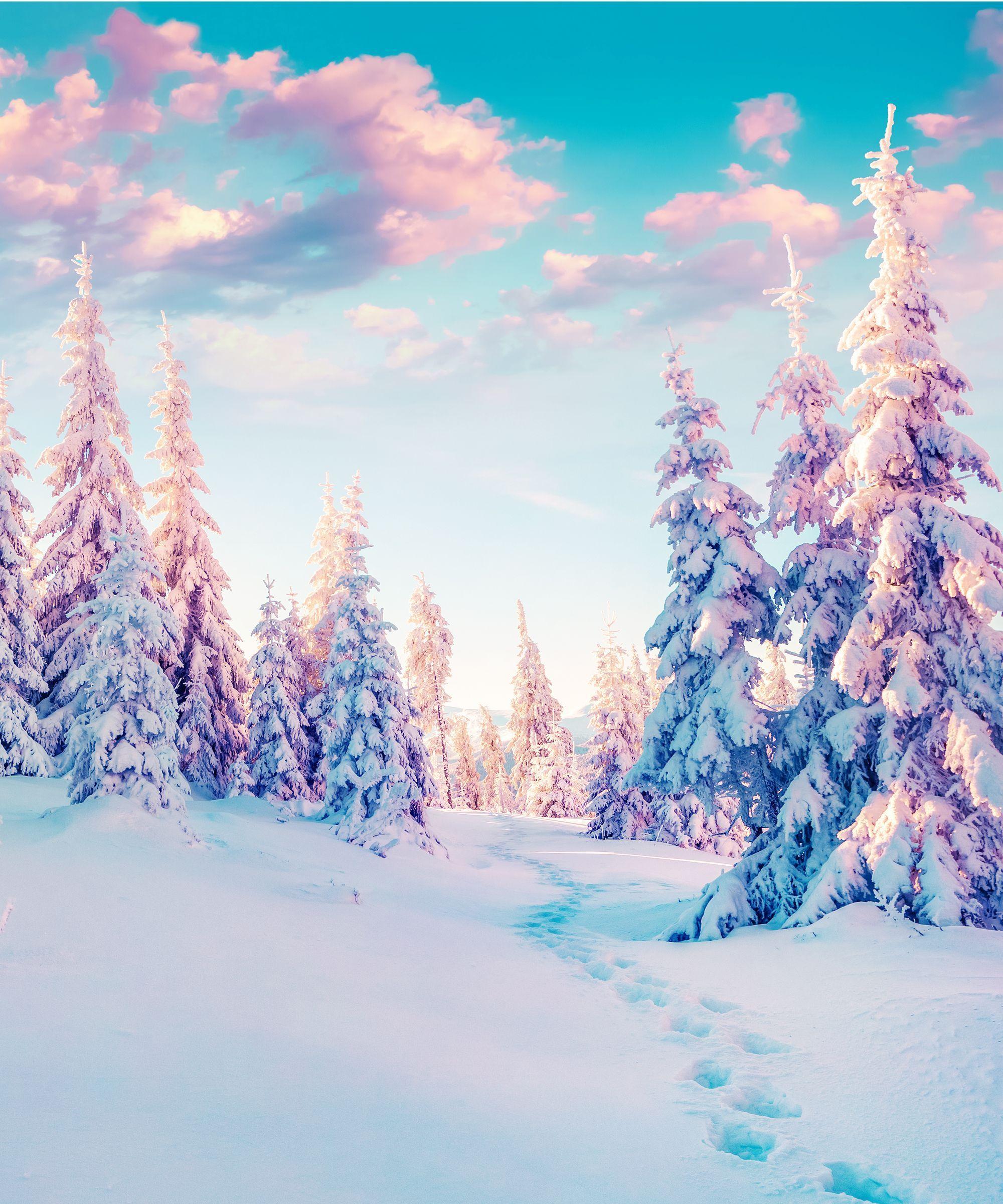 Winter Solstice Wallpapers - Top Free Winter Solstice Backgrounds ...