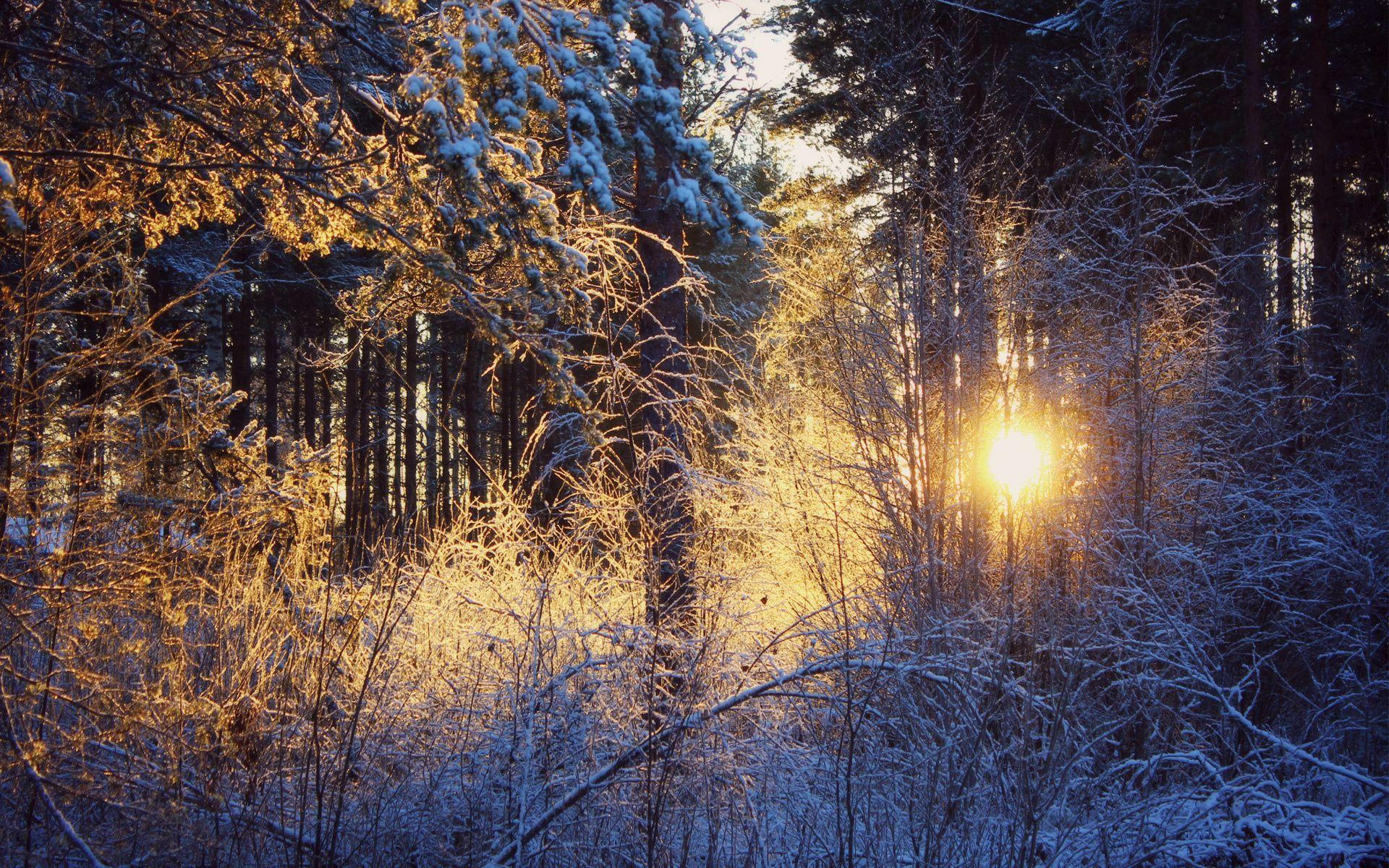 Winter Sun Wallpapers - Top Free Winter Sun Backgrounds - WallpaperAccess