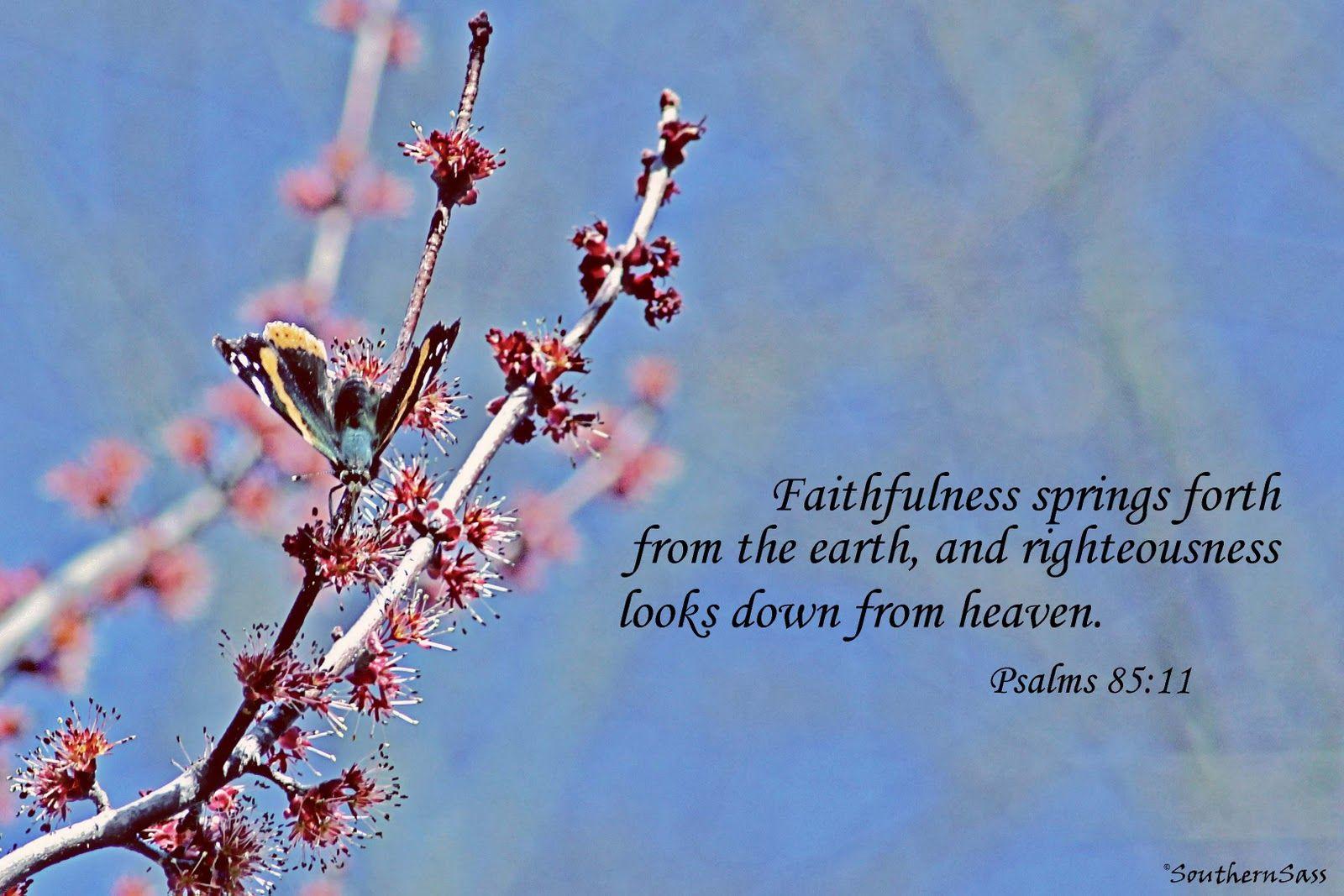 Spring Bible Wallpapers - Top Free Spring Bible Backgrounds ...