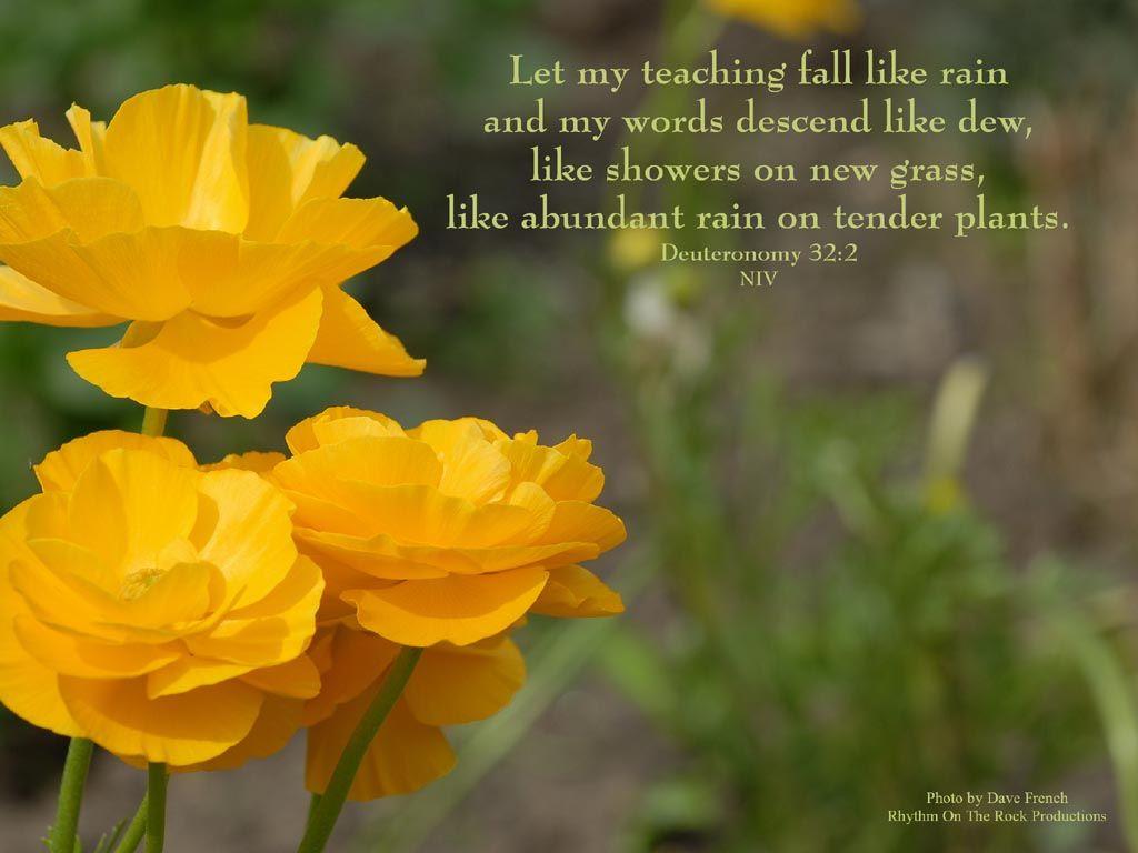 Spring Bible Wallpapers - Top Free Spring Bible Backgrounds ...