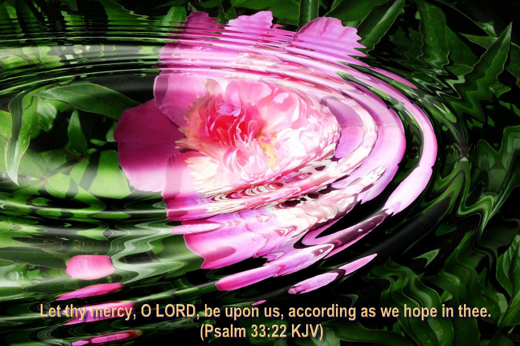 Spring Bible Wallpapers - Top Free Spring Bible Backgrounds ...