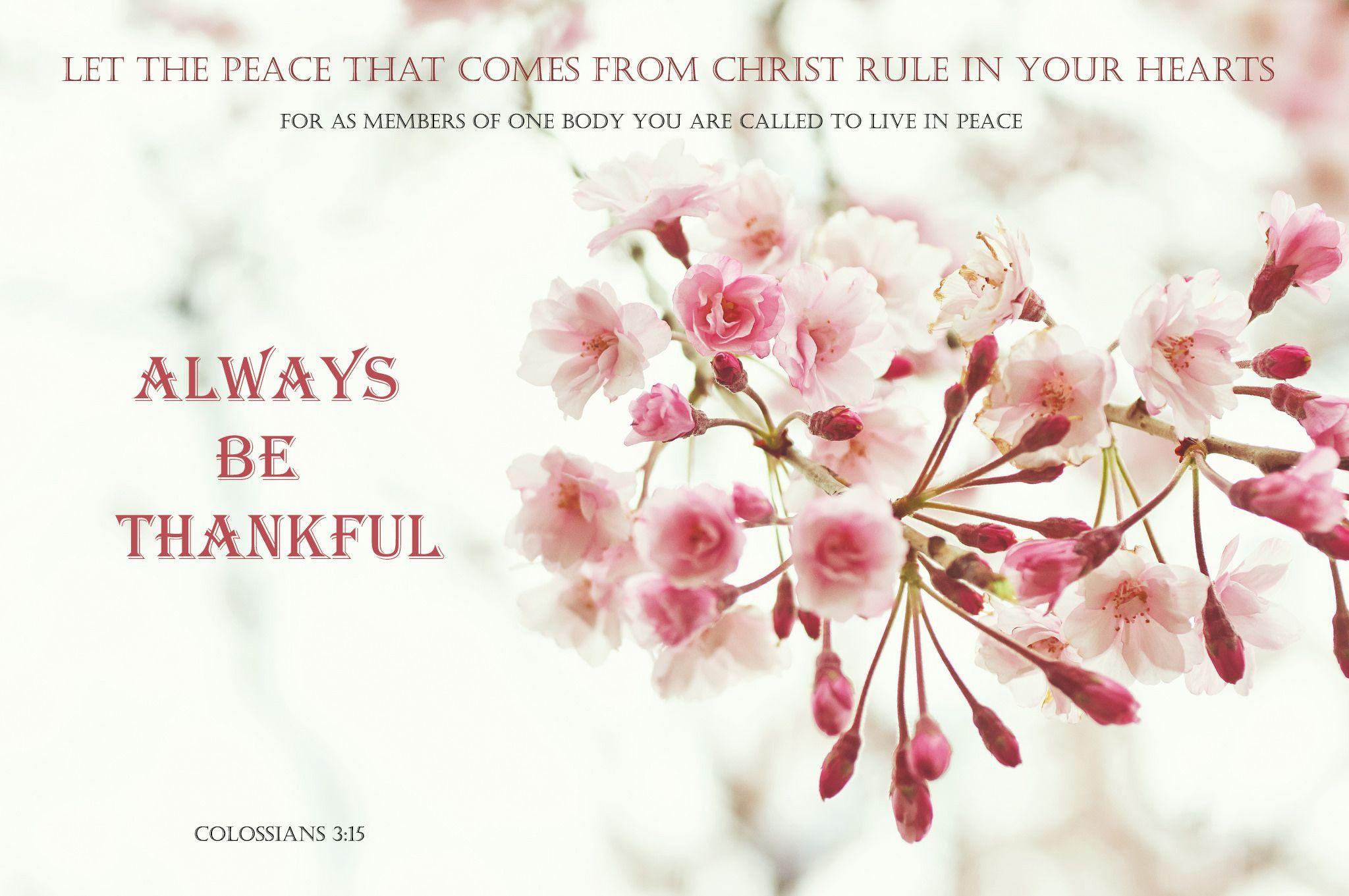 Spring Bible Wallpapers - Top Free Spring Bible Backgrounds ...