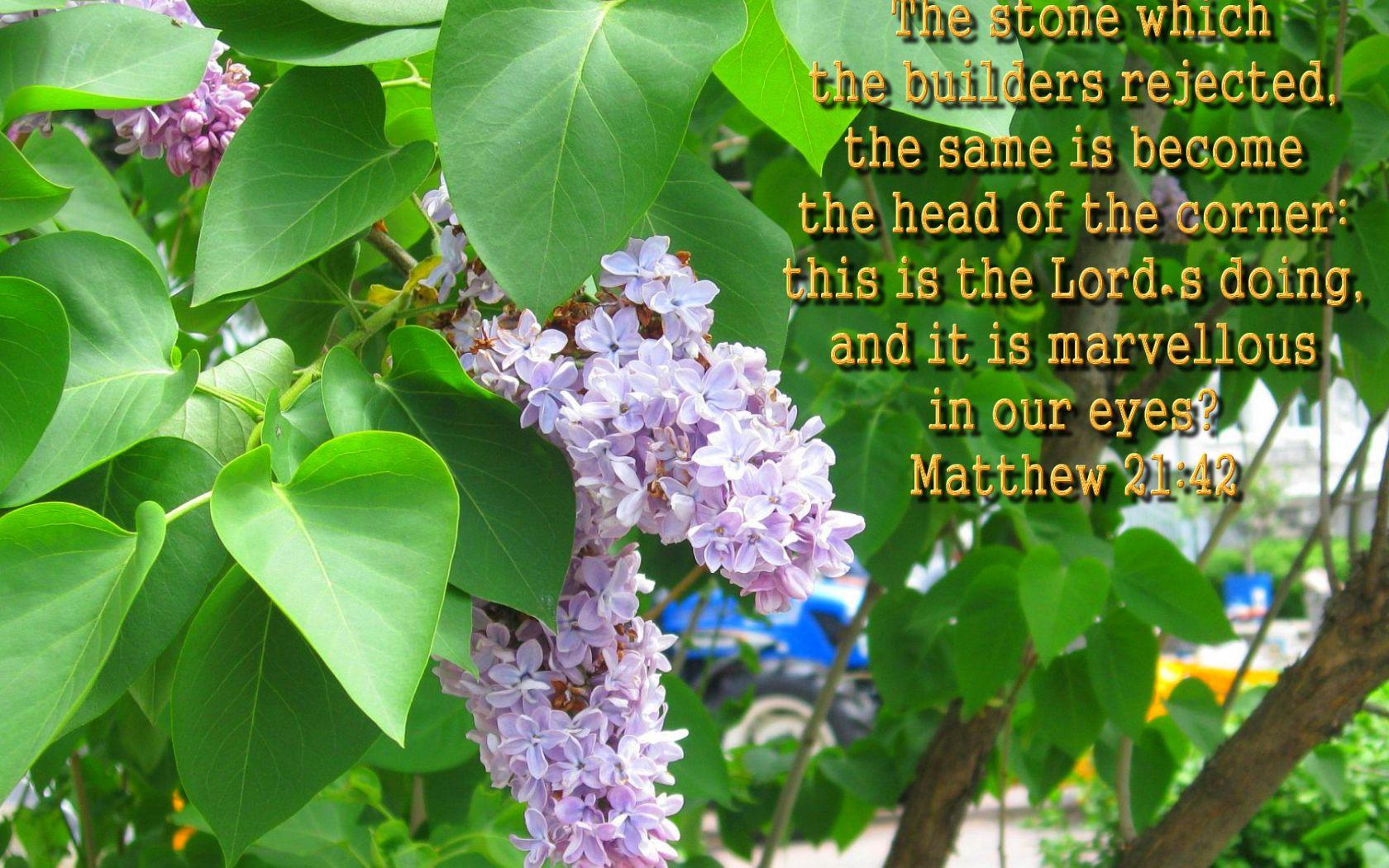 Spring Bible Wallpapers - Top Free Spring Bible Backgrounds ...