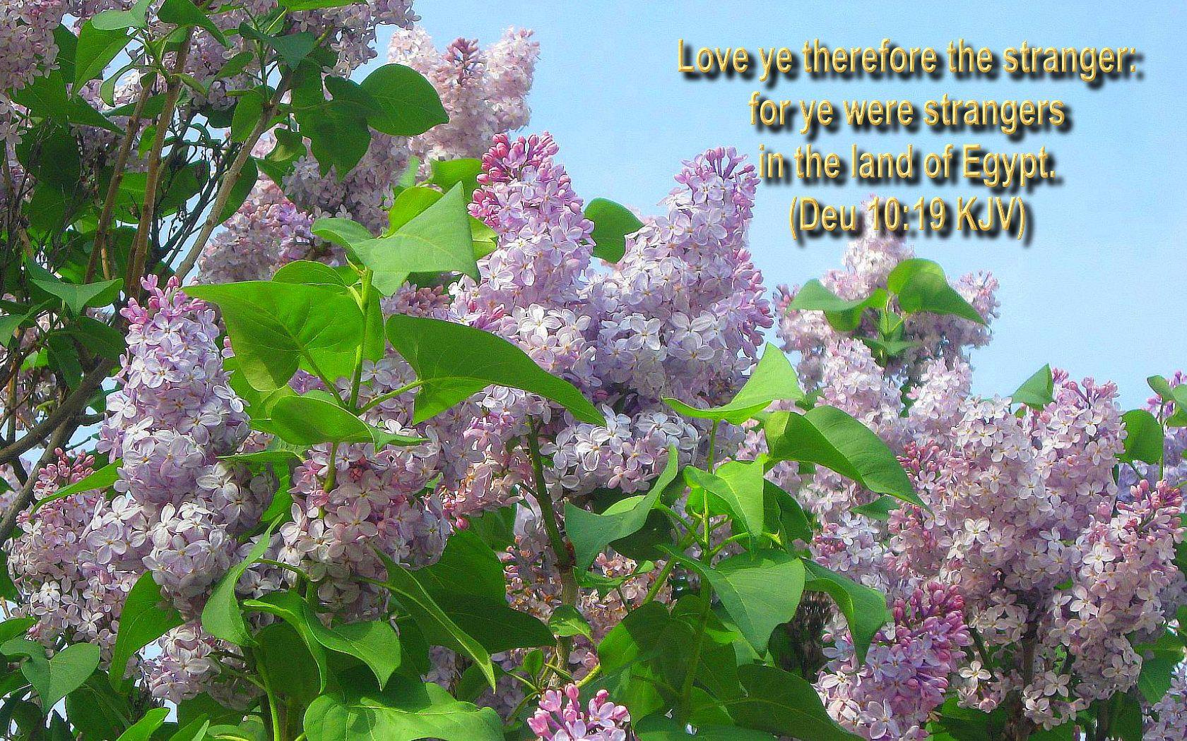 Spring Bible Wallpapers - Top Free Spring Bible Backgrounds ...