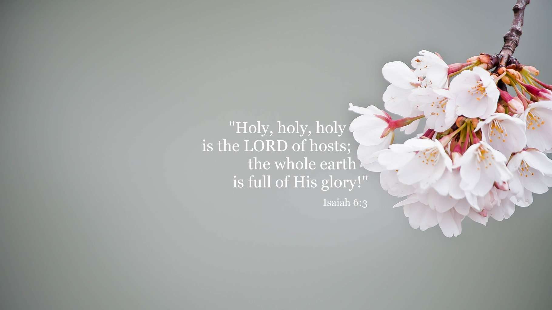 Spring Bible Wallpapers - Top Free Spring Bible Backgrounds ...