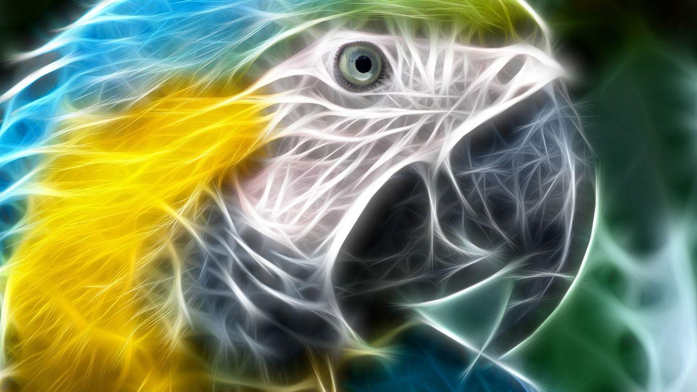 Cool Parrot Wallpapers - Top Free Cool Parrot Backgrounds - WallpaperAccess