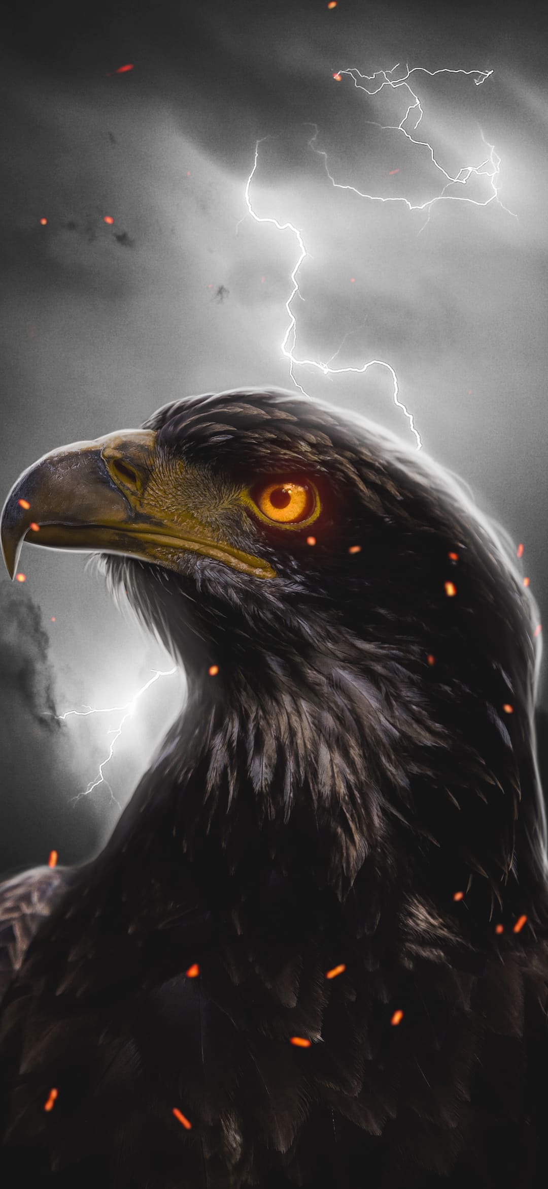 Eagle Phone Wallpapers - Top Free Eagle Phone Backgrounds - WallpaperAccess