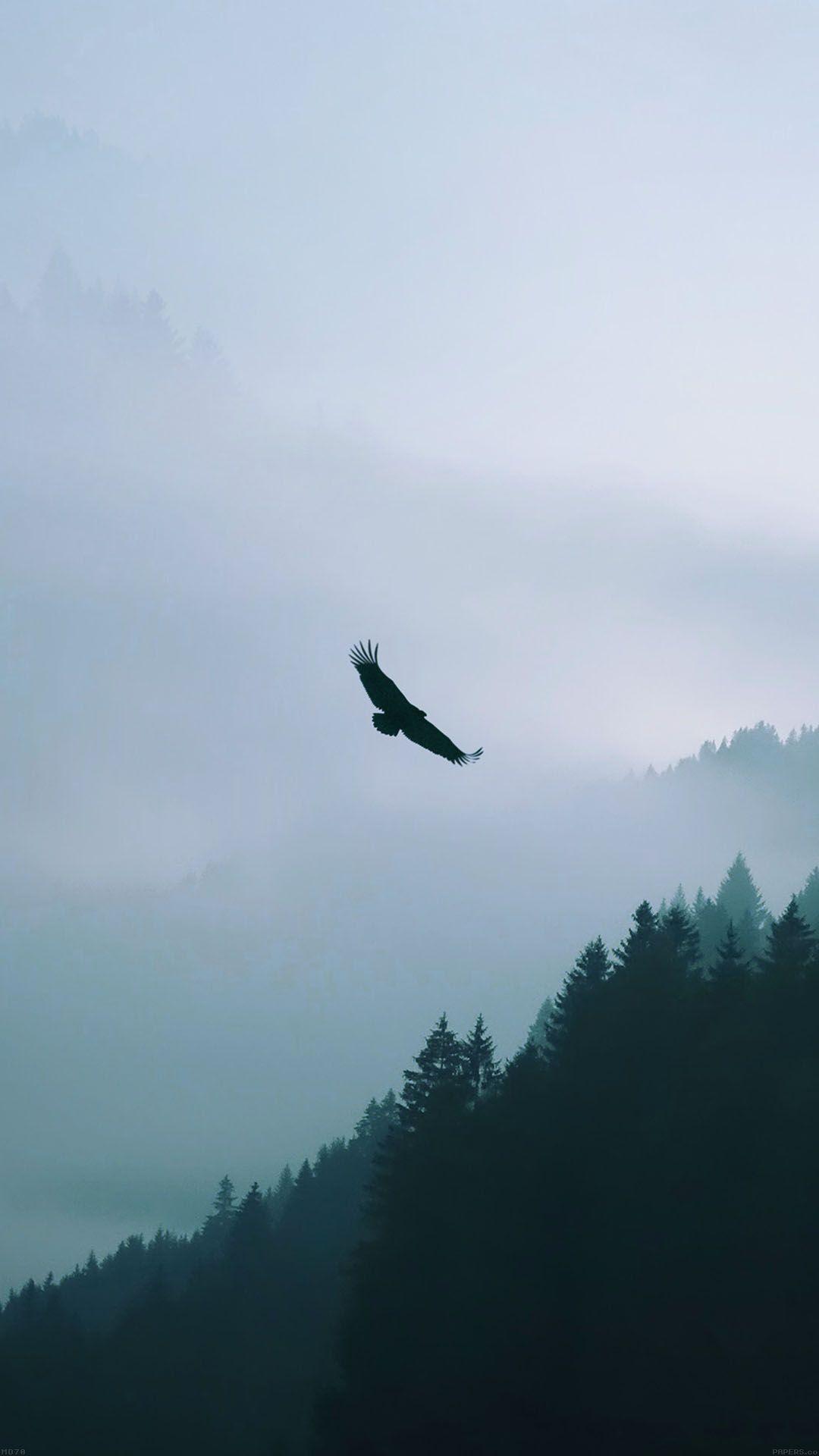 Eagle Phone Wallpapers - Top Free Eagle Phone Backgrounds - WallpaperAccess
