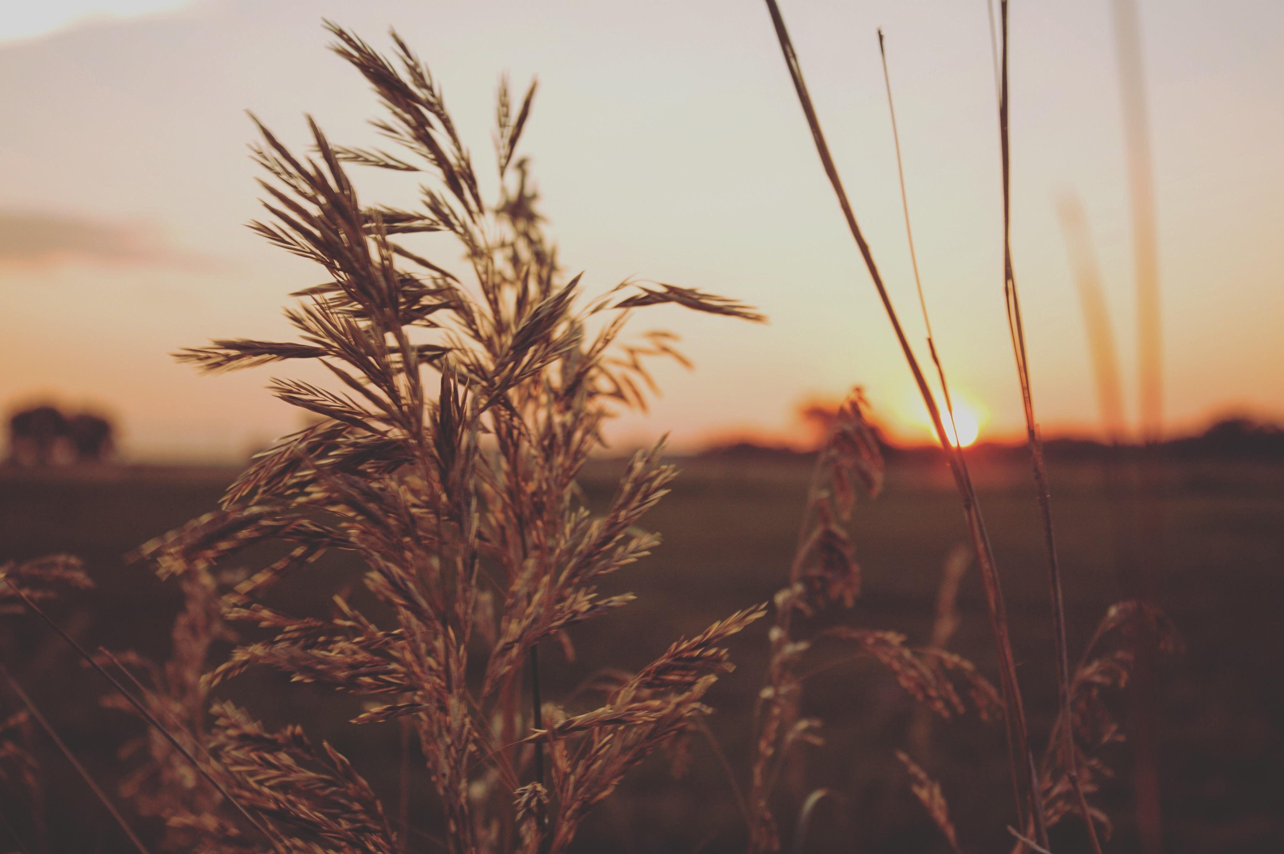 Nebraska Scenery Wallpapers - Top Free Nebraska Scenery Backgrounds ...