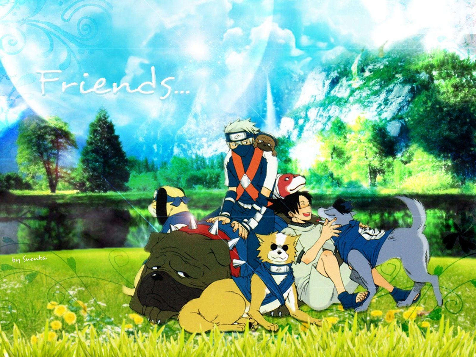 Iruka Wallpapers - Top Free Iruka Backgrounds - WallpaperAccess