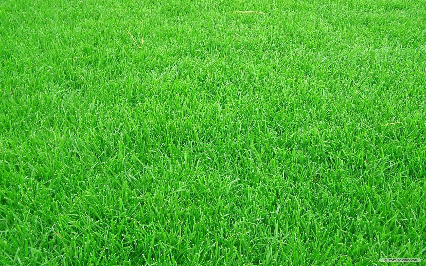 Football Grass Wallpapers - Top Free Football Grass Backgrounds ...