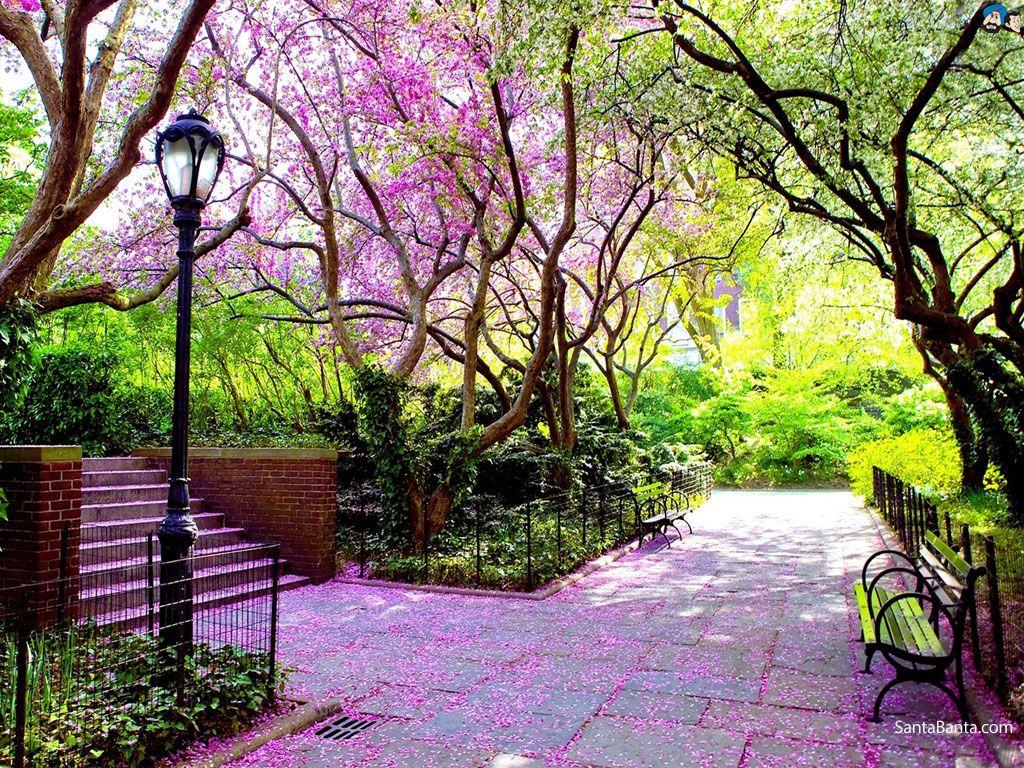 Beautiful Spring Landscape Wallpapers - Top Free Beautiful Spring ...