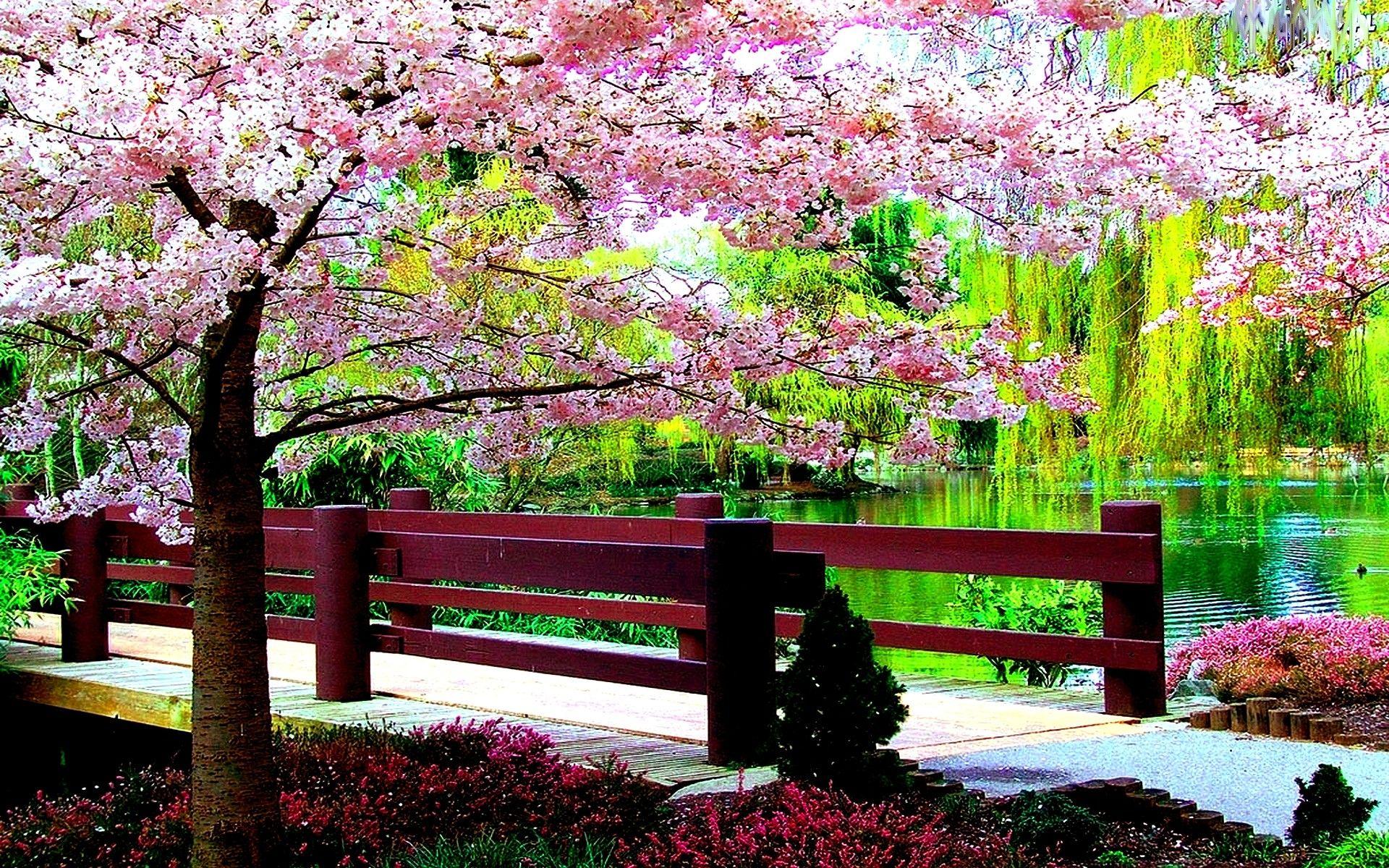 Beautiful Spring Landscape Wallpapers - Top Free Beautiful Spring ...