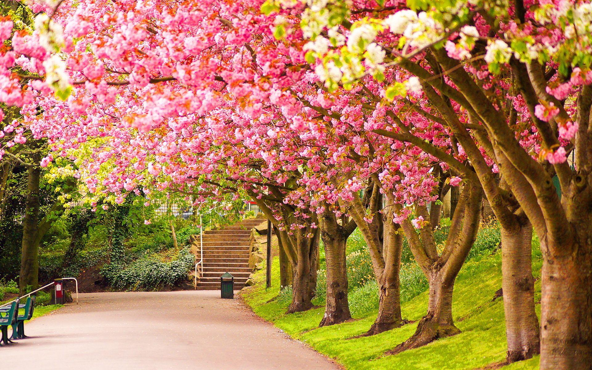 Beautiful Spring Landscape Wallpapers - Top Free Beautiful Spring ...