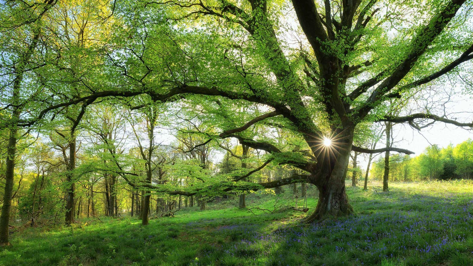 Beautiful Spring Landscape Wallpapers - Top Free Beautiful Spring ...