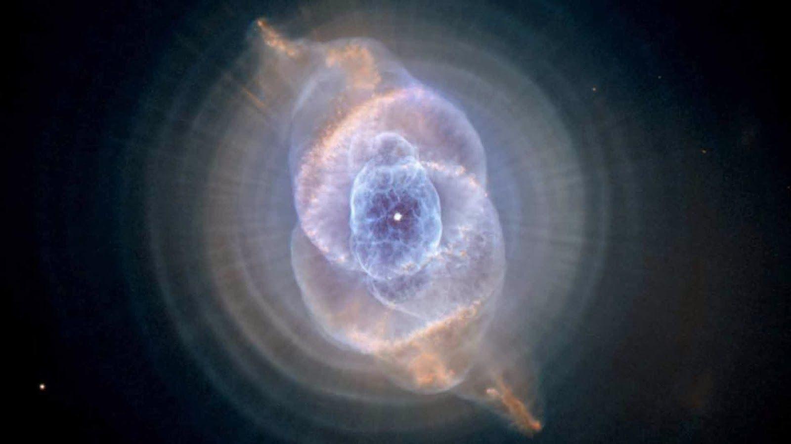 Cat Nebula Wallpapers - Top Free Cat Nebula Backgrounds - WallpaperAccess