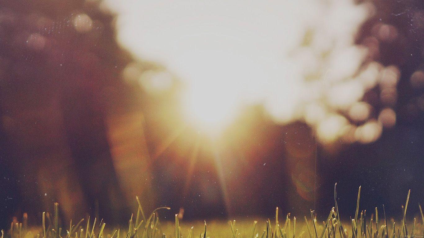 Sunshine Laptop Wallpapers - Top Free Sunshine Laptop Backgrounds ...