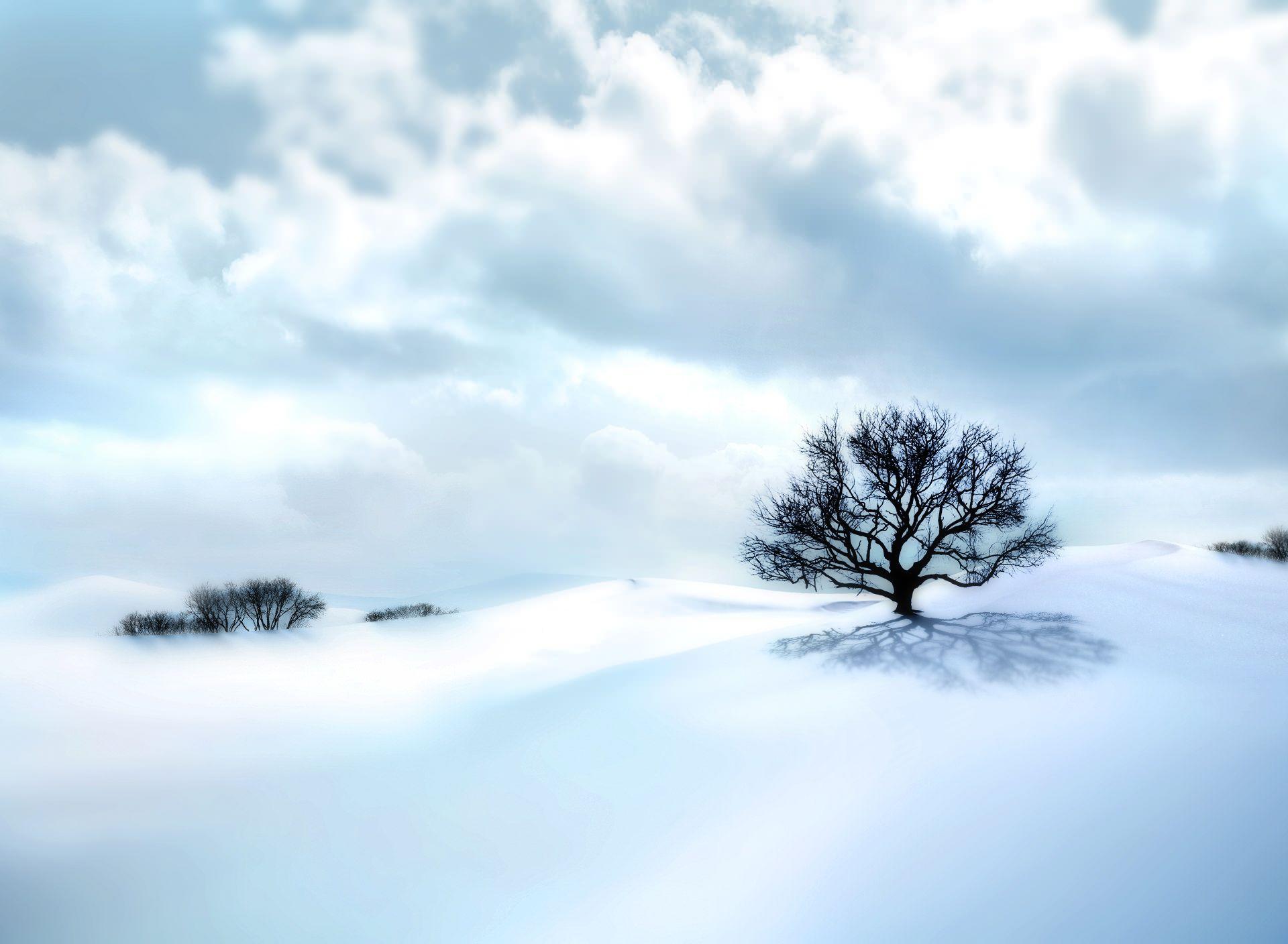 Asus Transformer Wallpapers - Top Free Asus Transformer Backgrounds ...