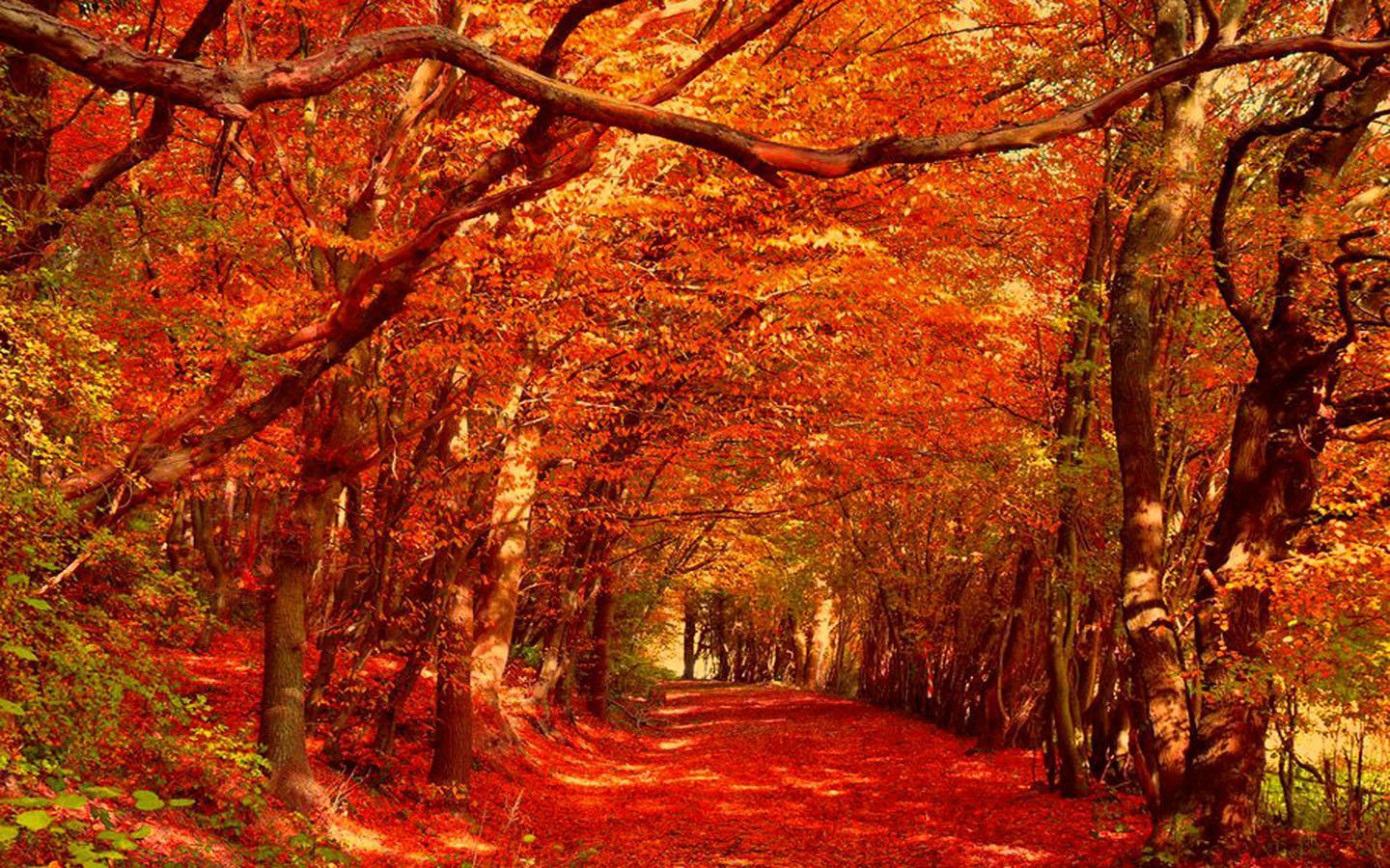 Relaxing Autumn Day Wallpapers - Top Free Relaxing Autumn Day ...