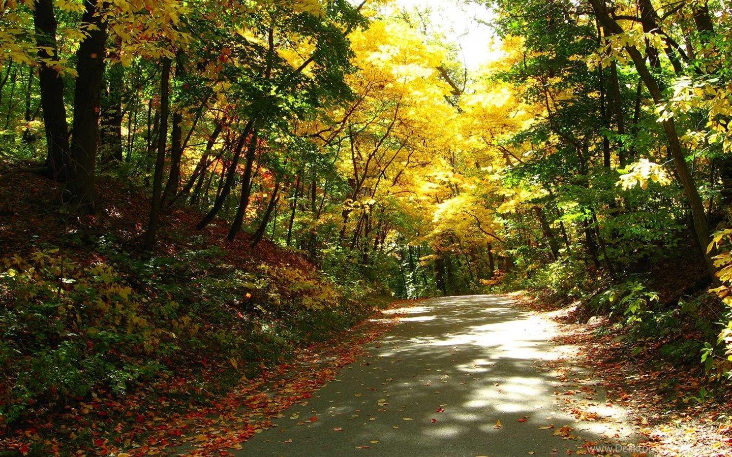 Autumn Screen Wallpapers - Top Free Autumn Screen Backgrounds ...