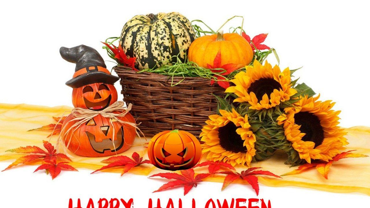 Sunflower Pumpkin Wallpapers - Top Free Sunflower Pumpkin Backgrounds ...