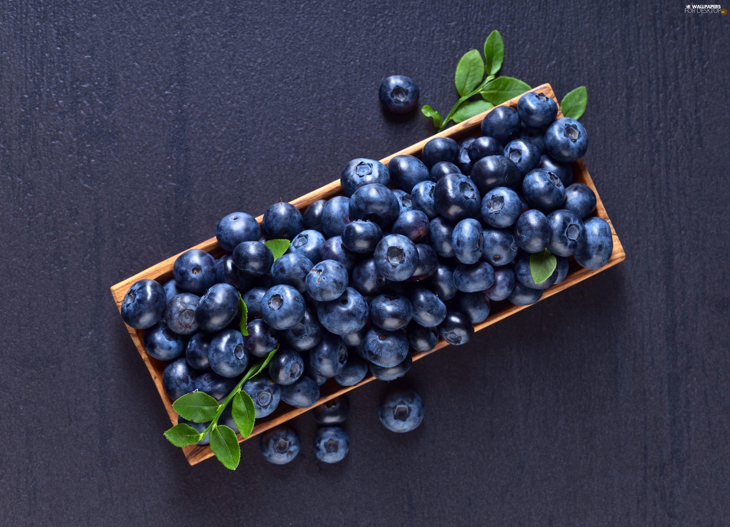 Blueberry Desktop Wallpapers - Top Free Blueberry Desktop Backgrounds ...