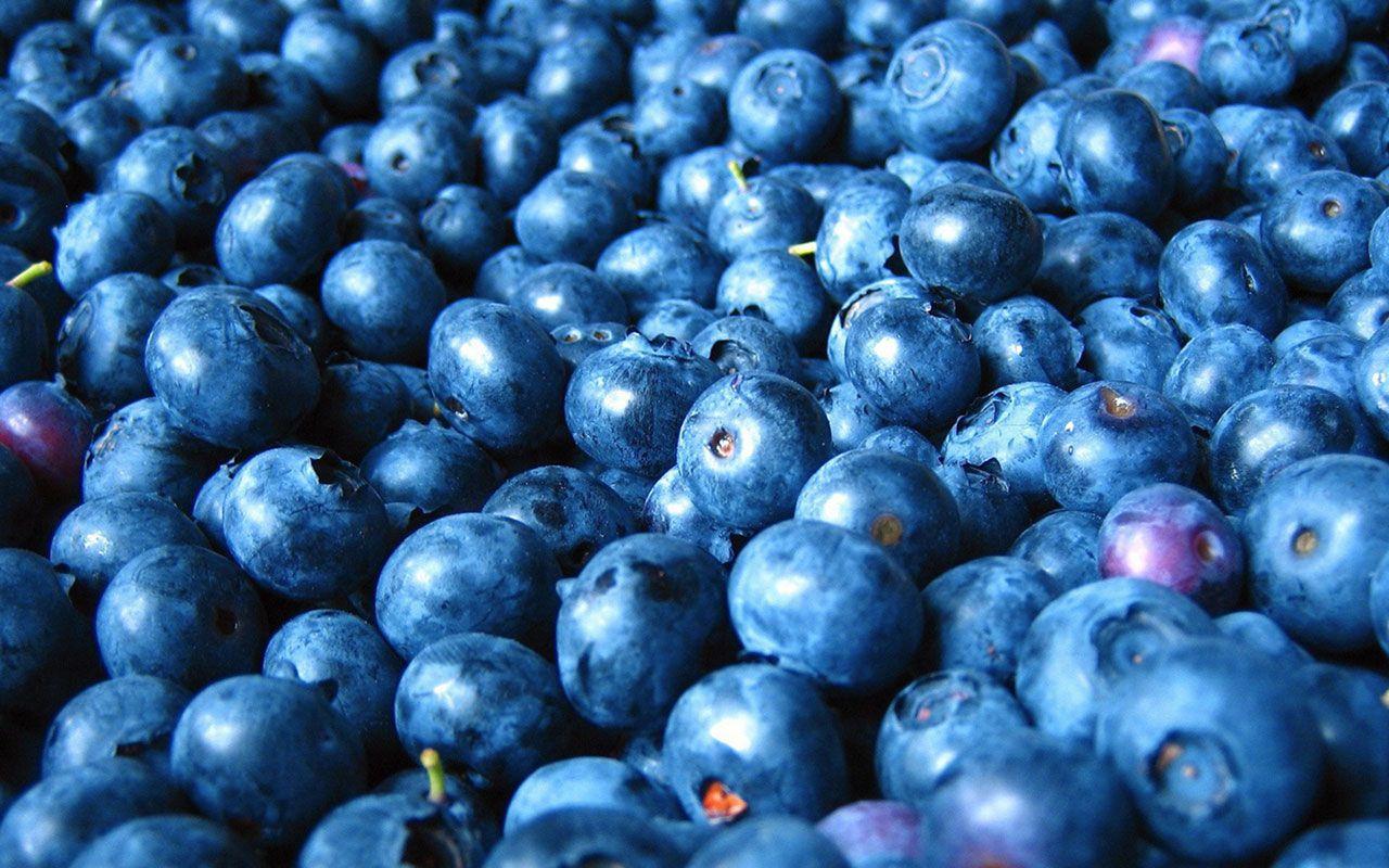 Blueberry Desktop Wallpapers - Top Free Blueberry Desktop Backgrounds ...