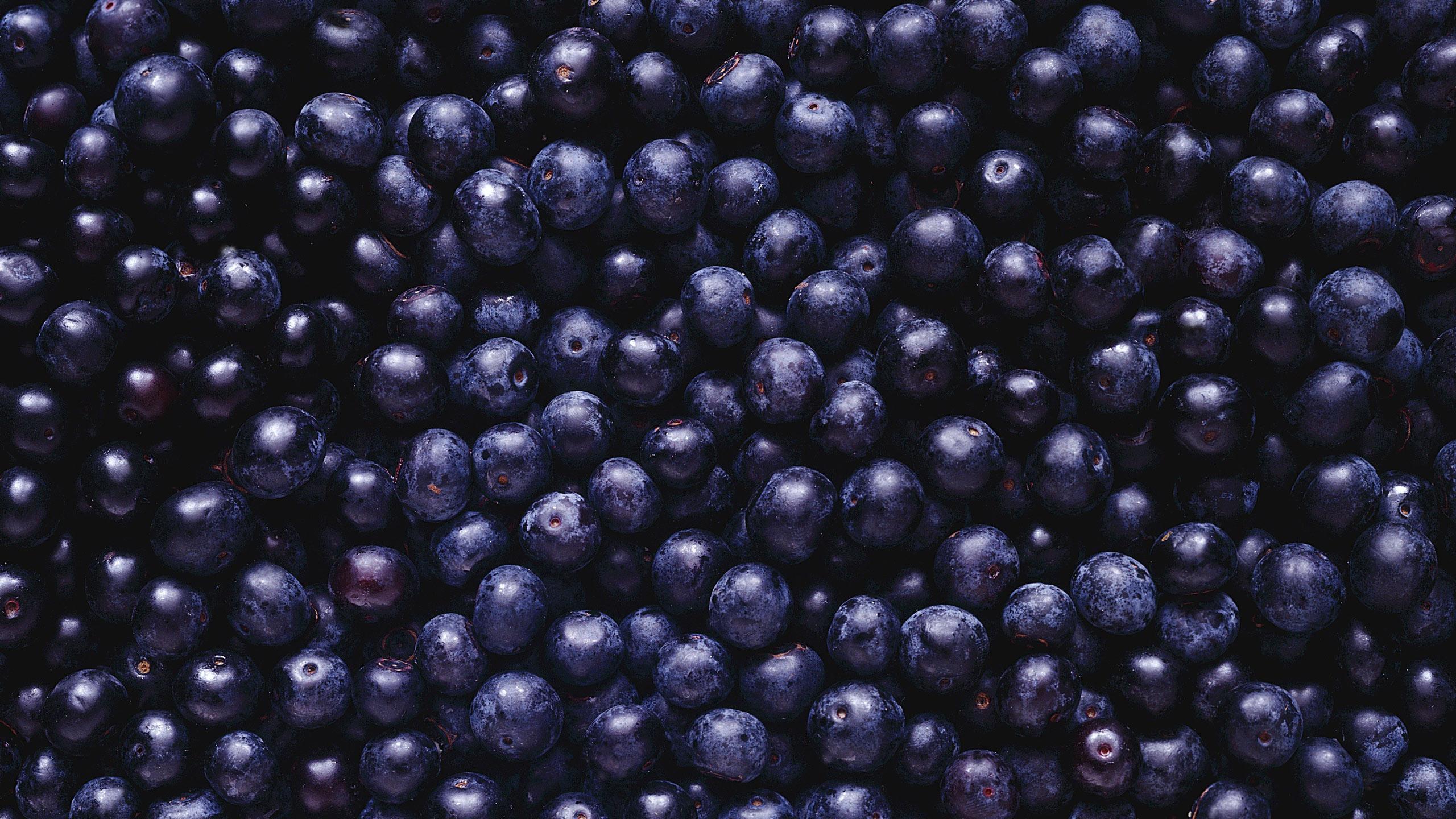 Blueberry Desktop Wallpapers - Top Free Blueberry Desktop Backgrounds ...