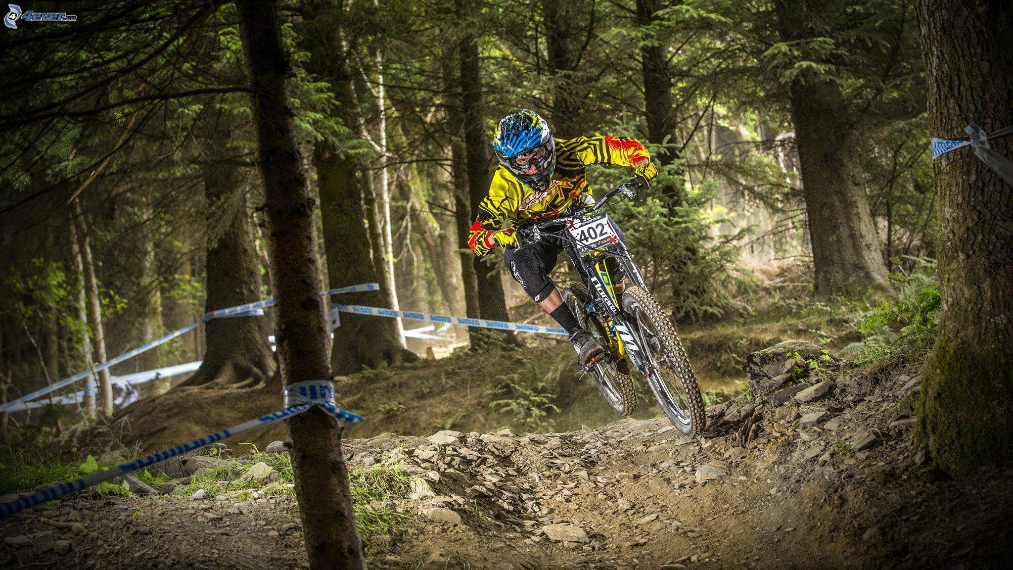 Forest Downhill HD Wallpapers - Top Free Forest Downhill HD Backgrounds ...