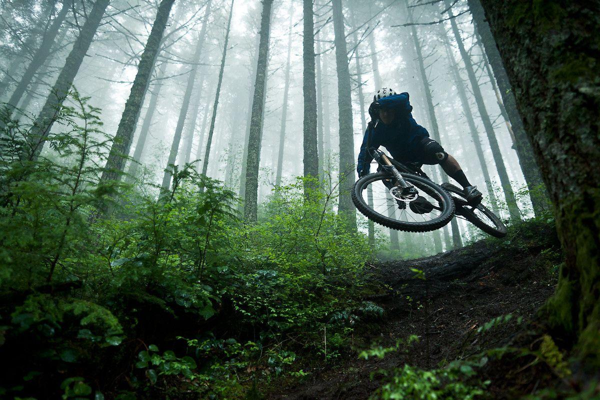 Forest Downhill HD Wallpapers - Top Free Forest Downhill HD Backgrounds ...