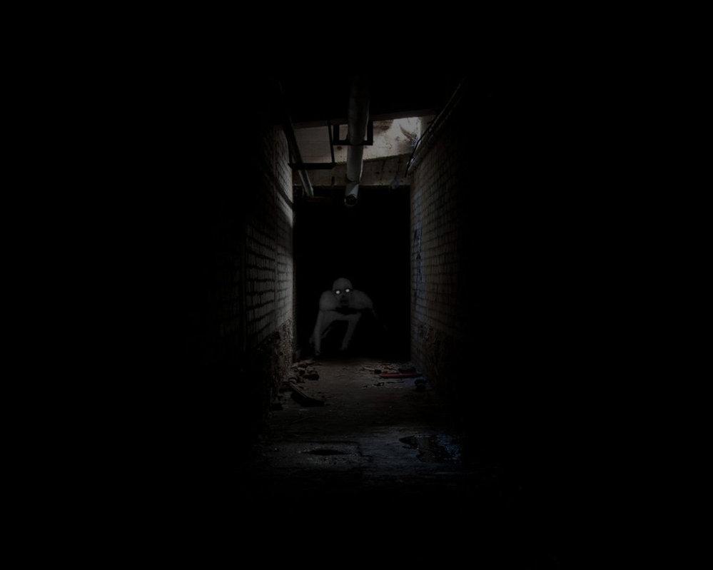 The Rake Wallpapers - Top Free The Rake Backgrounds - WallpaperAccess