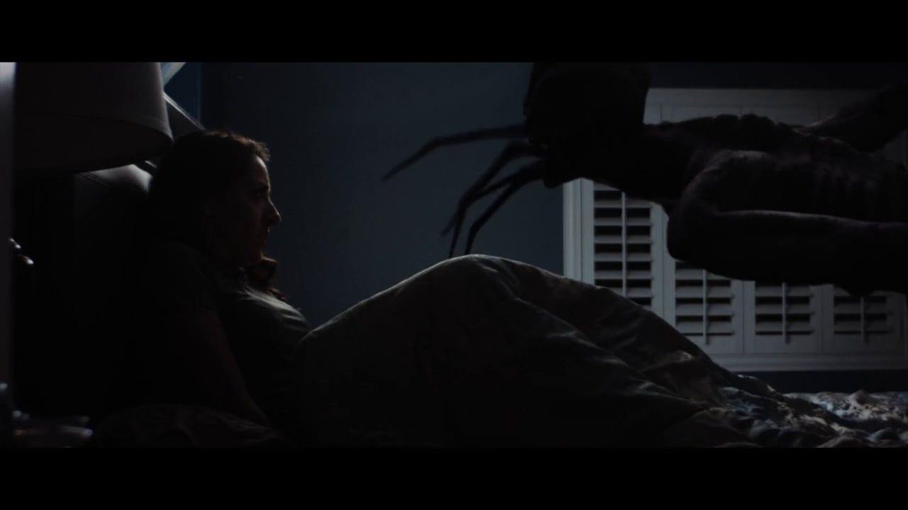 The Rake Wallpapers - Top Free The Rake Backgrounds - WallpaperAccess