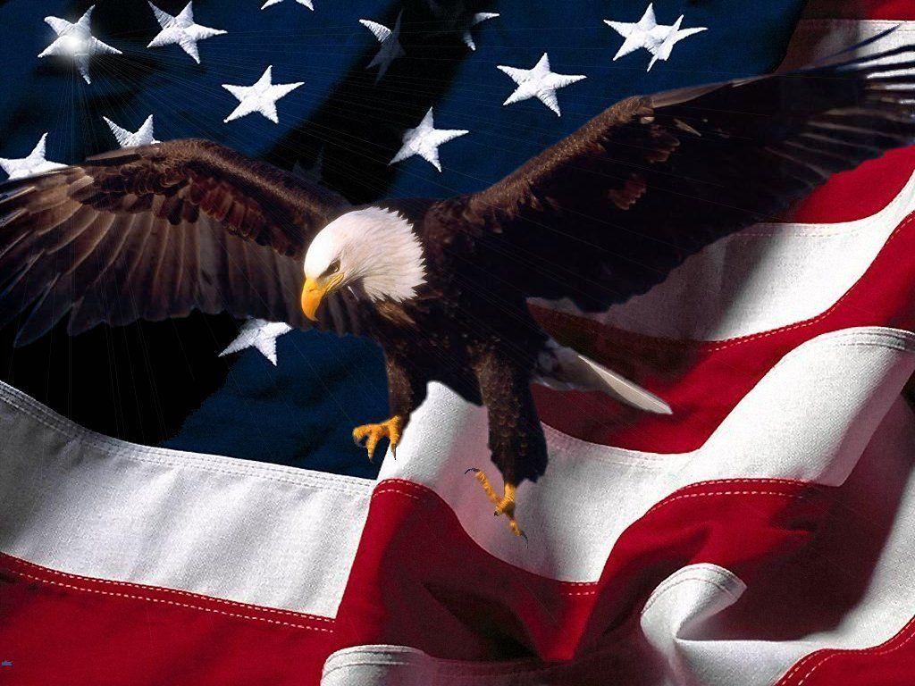 Bald Eagle Flag Wallpapers - Top Free Bald Eagle Flag Backgrounds ...