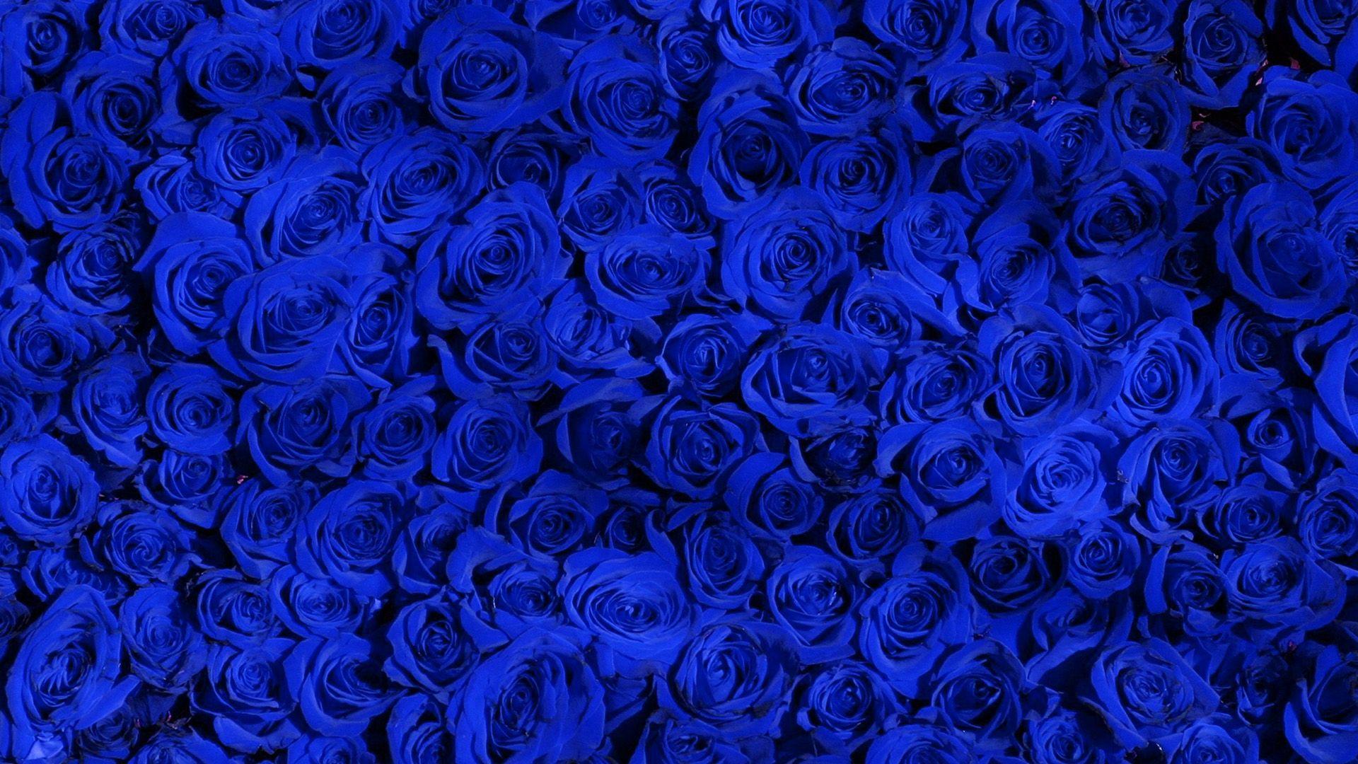 Rose Pattern Wallpapers - Top Free Rose Pattern Backgrounds ...