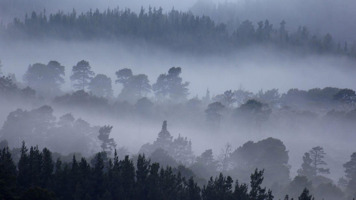 Fog Landscape Wallpapers - Top Free Fog Landscape Backgrounds ...