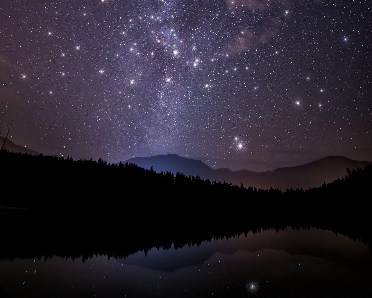 Forest Night Sky Wallpapers - Top Free Forest Night Sky Backgrounds ... Forest Night Sky Wallpapers - Top Free Forest Night Sky Backgrounds ...