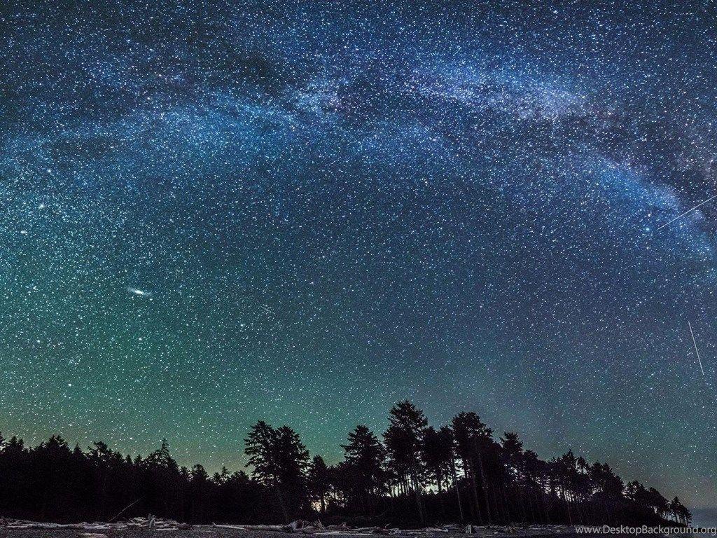 Forest Night Sky Wallpapers - Top Free Forest Night Sky Backgrounds ...