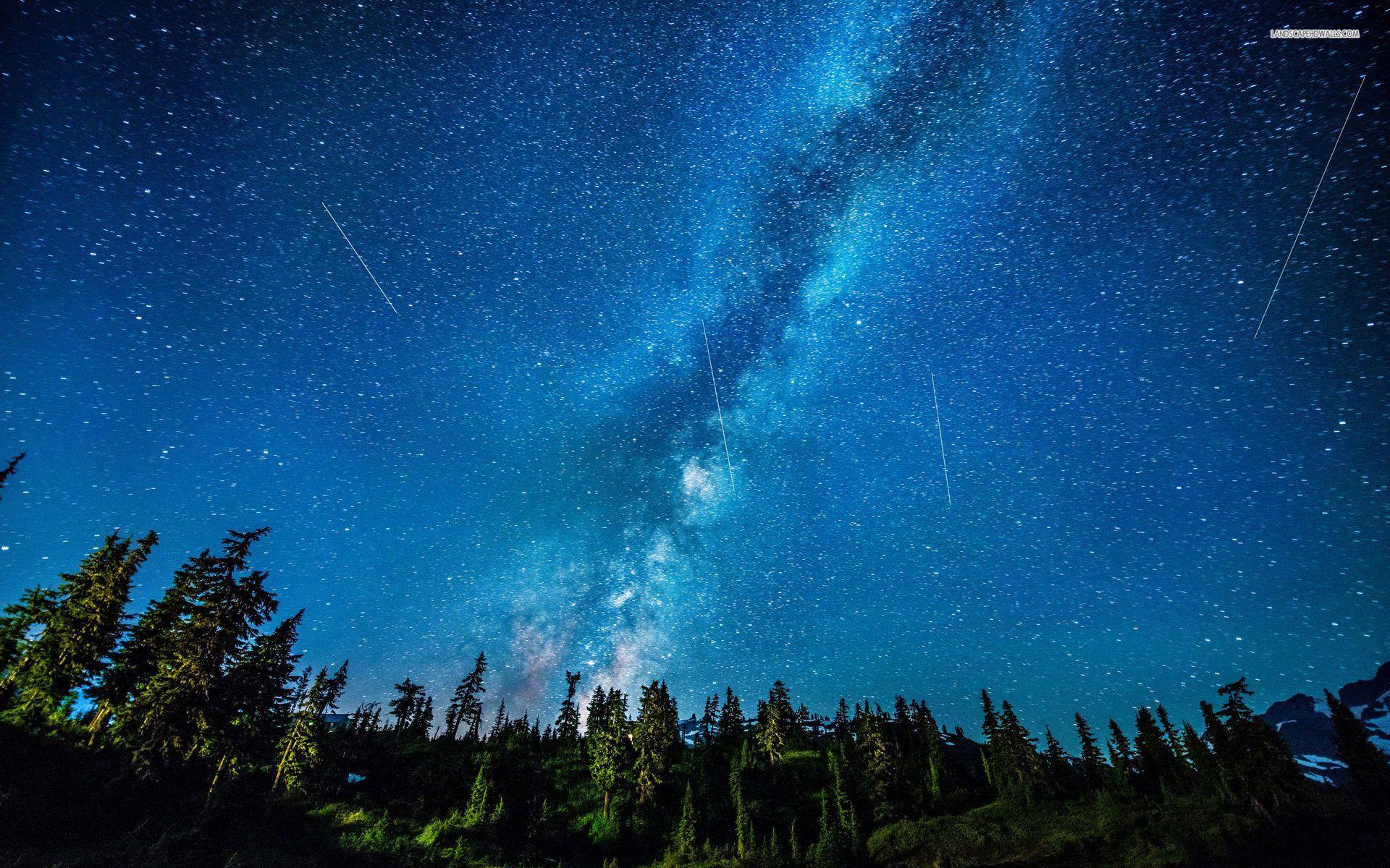 Starry Forest Wallpapers - Top Free Starry Forest Backgrounds ...