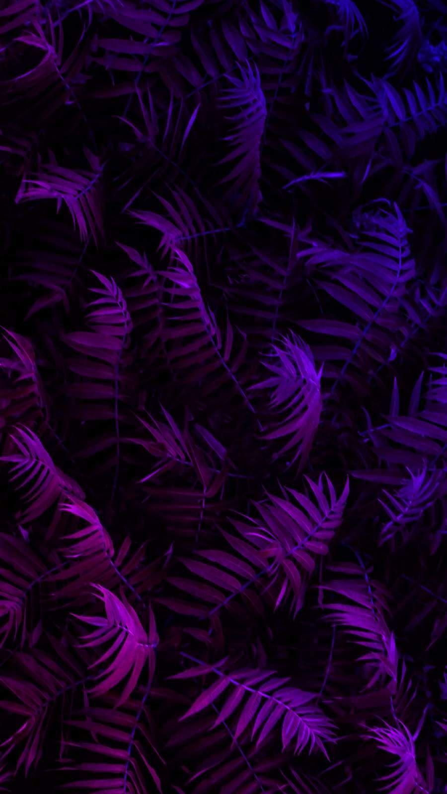 Trippy Purple Wallpapers - Top Free Trippy Purple Backgrounds ...